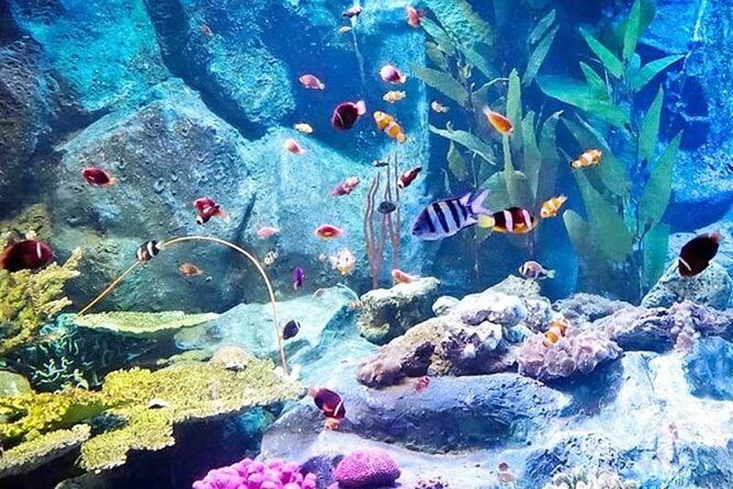 PATTAYA: Join Tour Under Water World Pattaya - An Introduction to Underwater World Pattaya