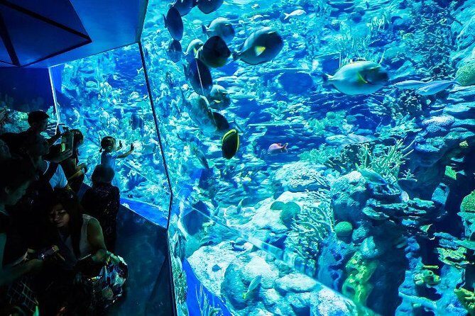 PATTAYA: Join Tour Under Water World Pattaya - Who Should Consider This Tour?