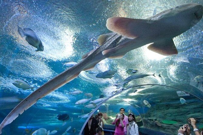 PATTAYA: Join Tour Under Water World Pattaya - FAQ