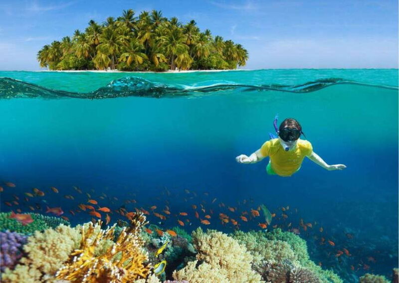 Pattaya: Koh Larn Island Day Trip with Lunch and Activities - The Sum Up