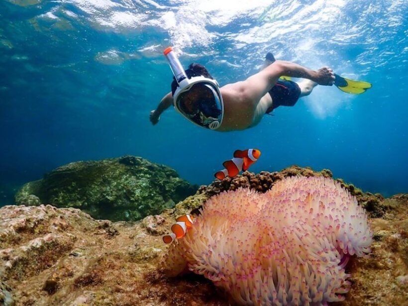Pattaya: Nemo Island Experience with Drone Photos and Lunch - Key Points