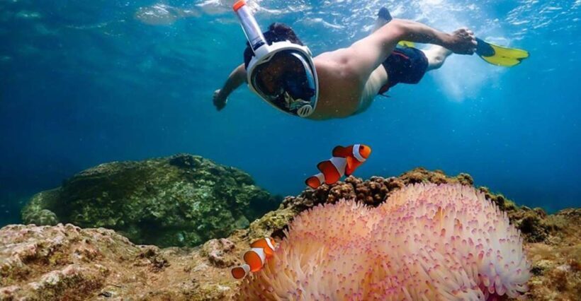 Pattaya: Nemo Island Experience with Drone Photos and Lunch - Who Should Consider This Tour?