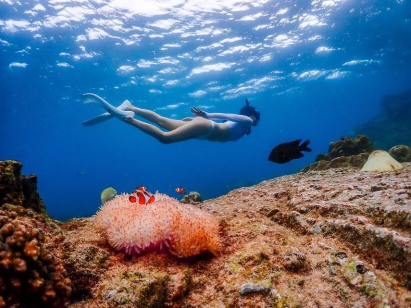 Pattaya: Nemo Island Experience with Drone Photos and Lunch - FAQs