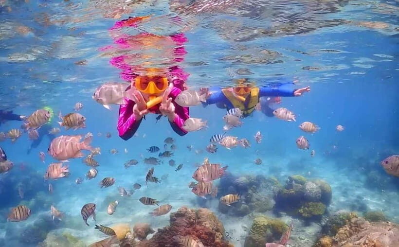 Pattaya: Nemo Island Full-Day Snorkeling Boat Trip - Key Points