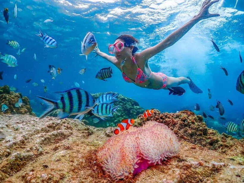 Pattaya: Nemo Island Full-Day Snorkeling Boat Trip - Final Thoughts
