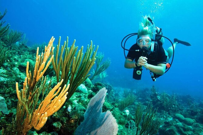 Pattaya PADI Beginner Scuba Diving One Try Dive Depth 6 Meters and Snorkeling ) - Practical Details and Tips