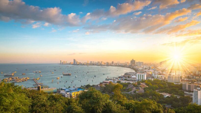 Pattaya: Private City Tour &DriverCustomize Your Highlights - Who Will Love This Tour?