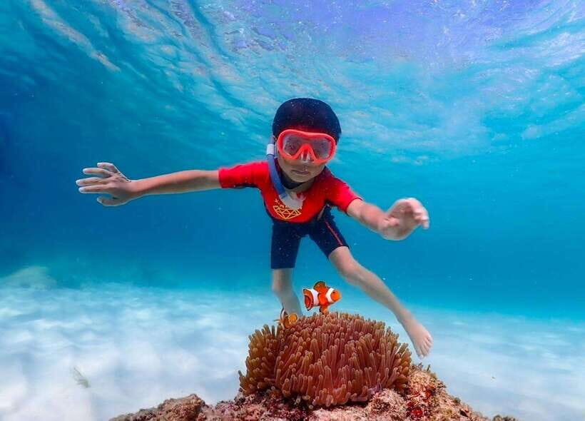 Pattaya: Private Speedboat Nemo Island with Snorkel & BBQ - FAQs about the Private Speedboat Nemo Island Tour