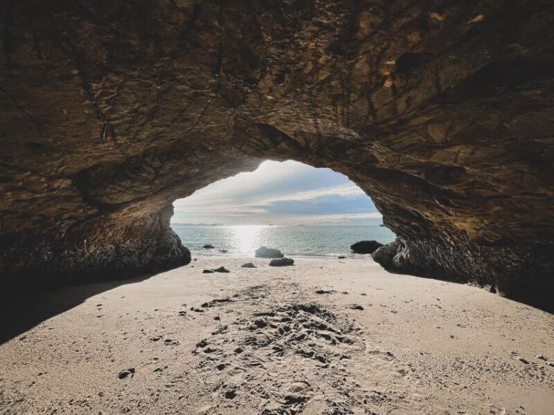 Pattaya: Private Speedboat to Coral Islands Cruise - The Experience from Reviews