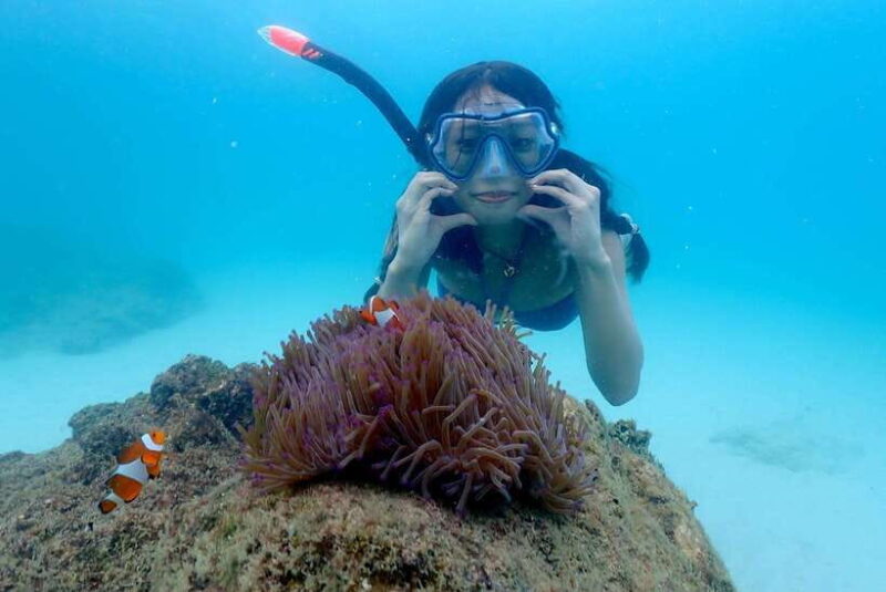Pattaya: Private Speedboat to Nemo Island with Snorkel & BBQ - Key Points