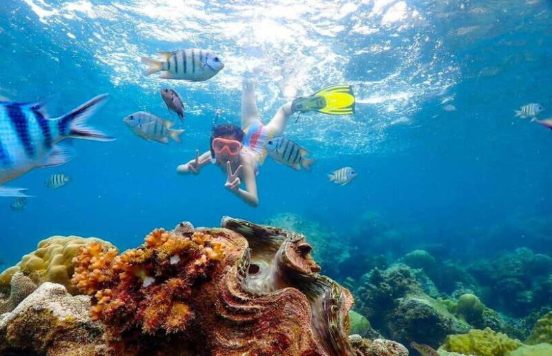 Pattaya: Private Speedboat to Nemo Island with Snorkel & BBQ - FAQ