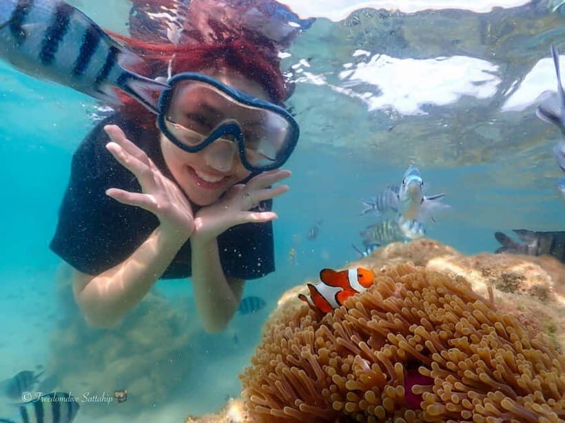 Pattaya/Rayong: Half day Snorkeling tour - Key Points