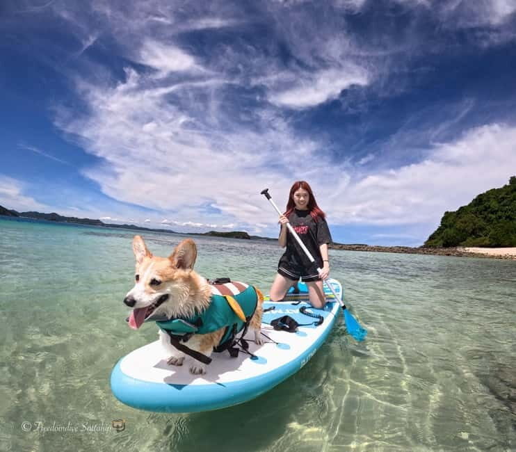 Pattaya/Rayong: Half day Snorkeling tour - What’s Included and What to Keep in Mind