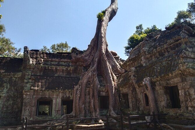 Pattaya to Angkor Wat 2 days 1 night Private tour - The Review from Travelers
