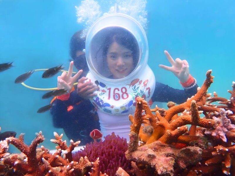 Pattaya: Underwater Sea Walking Experience - The Sum Up