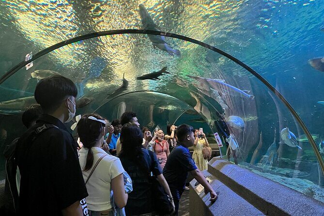 Pattaya Underwater World Entrance Ticket - The Experience at Pattaya Underwater World