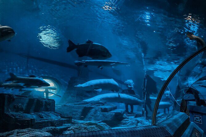 Pattaya Underwater World Entrance Ticket - Frequently Asked Questions (FAQs)