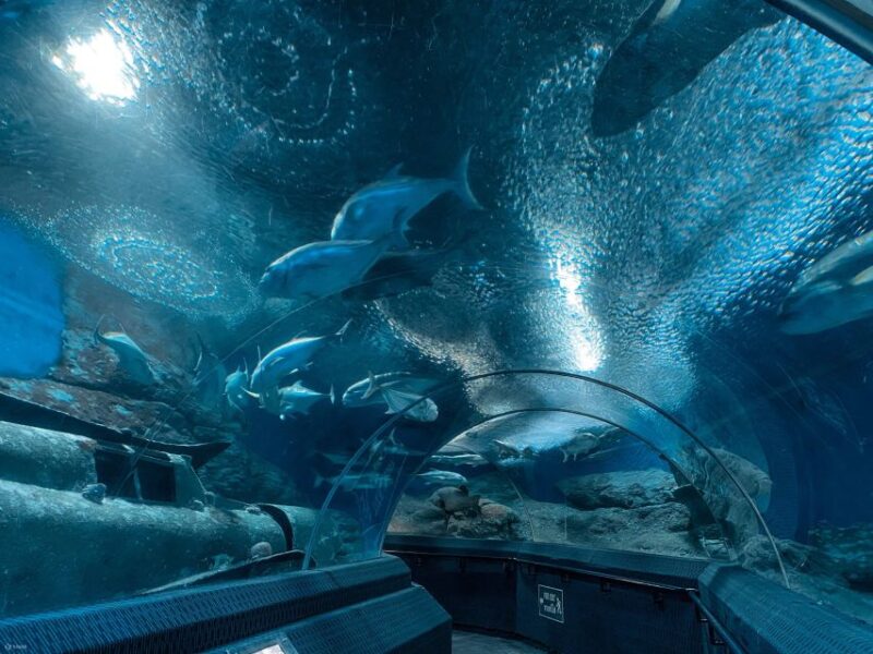 Pattaya: Underwater World Pattaya Aquarium Admission Ticket - Navigating the Visit: Practical Tips