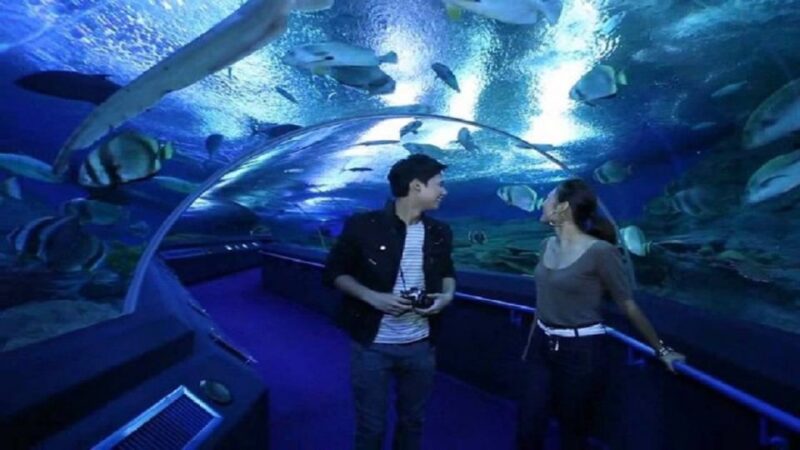 Pattaya: Underwater World Pattaya Aquarium Admission Ticket - What the Reviews Tell Us