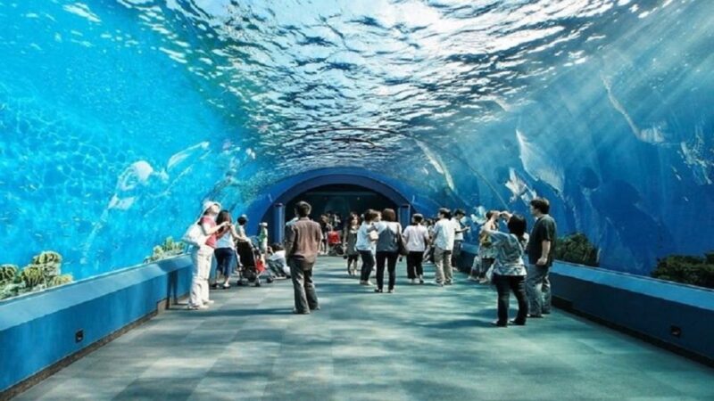 Pattaya: Underwater World Pattaya Aquarium Admission Ticket - Final Thoughts: Who Should Visit?