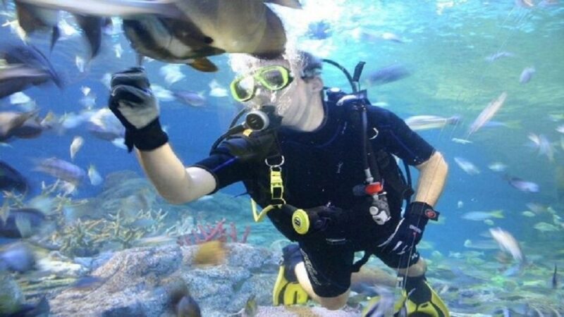 Pattaya: Underwater World Pattaya Aquarium Admission Ticket - Frequently Asked Questions