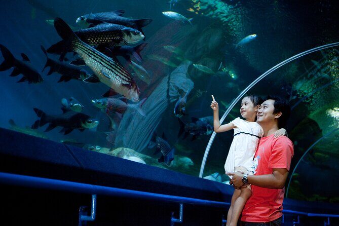 Pattaya Underwater World Tickets with Optional Hotel Pickup - Who Will Love This Tour?