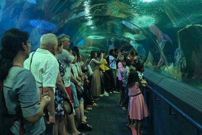 Pattaya Underwater World Tickets with Optional Hotel Pickup - Who Might Want to Skip It
