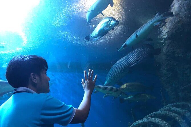 Pattaya Underwater World Tickets with Optional Hotel Pickup - Final thoughts