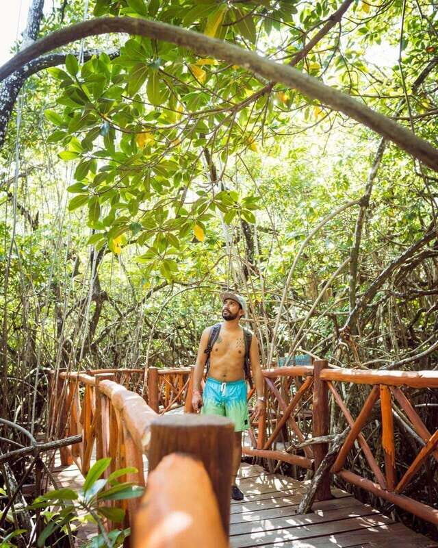 PDC: Eco Adventure at Cenotes Casa Tortuga & Tulum Ruins - Authentic Insights from Travelers