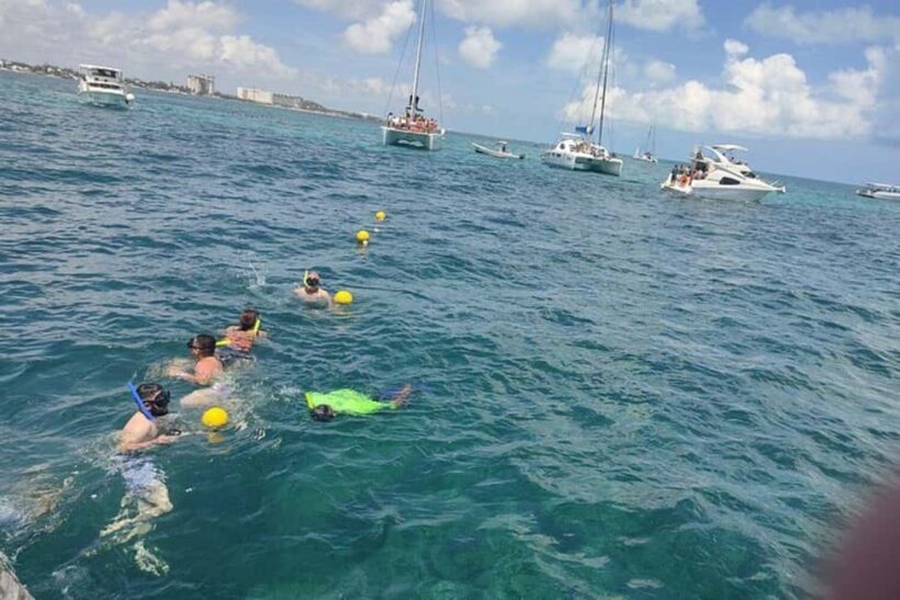 PDC: Isla Mujeres Catamaran Tour with Snorkeling - Key Points