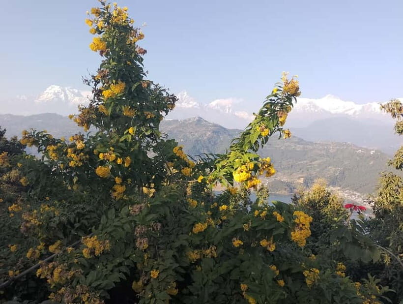 Peace & Panorama: Stupa and Pumdikot Scenic Drive Tour - Who Will Love This Tour?