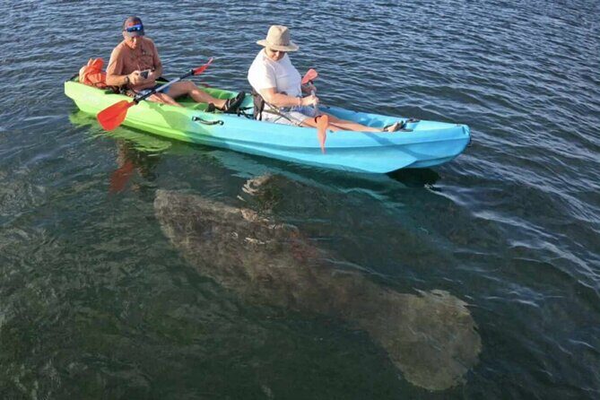 Peaceful Couples Sunrise Tandem Kayak  Three Sisters Springs - Key Points