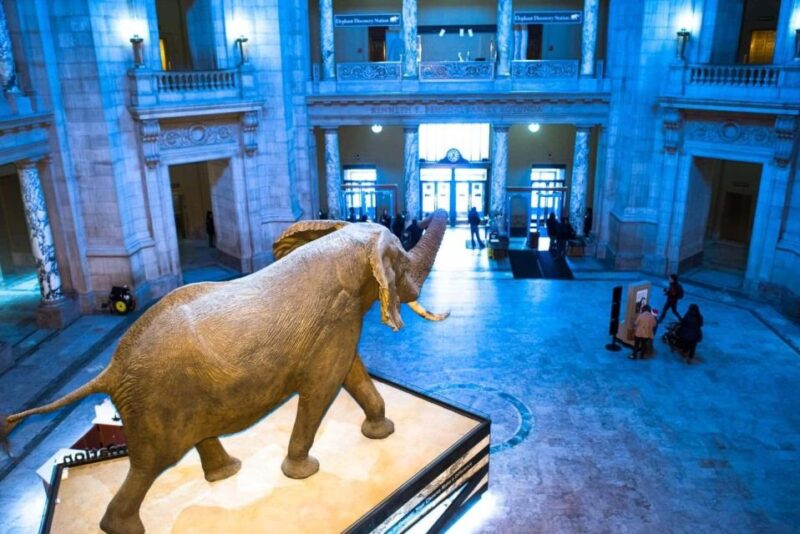 Peaceful Family walking tour in Washington - Exploring the Peaceful Family Walking Tour in Washington, D.C.