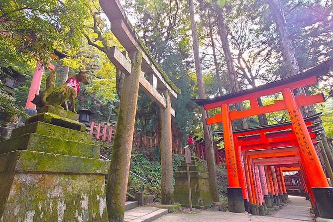 Peaceful Pedals: Arashiyama Slow Cycling Retreat - Key Points