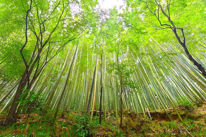 Peaceful Pedals: Arashiyama Slow Cycling Retreat - Operating Hours and Meeting/End Points