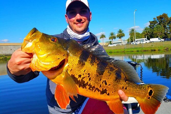 Peacock Bass Fishing Trip in Boynton Beach - An Honest Look at the Boynton Beach Peacock Bass Fishing Trip