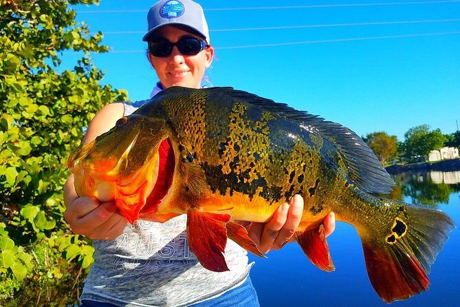 Peacock Bass Fishing Trip in Boynton Beach - In The Sum Up: Is It Worth It?