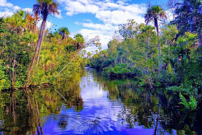 Peacock Bass Fishing Trip near Miami South Beach - An In-Depth Look at the Experience