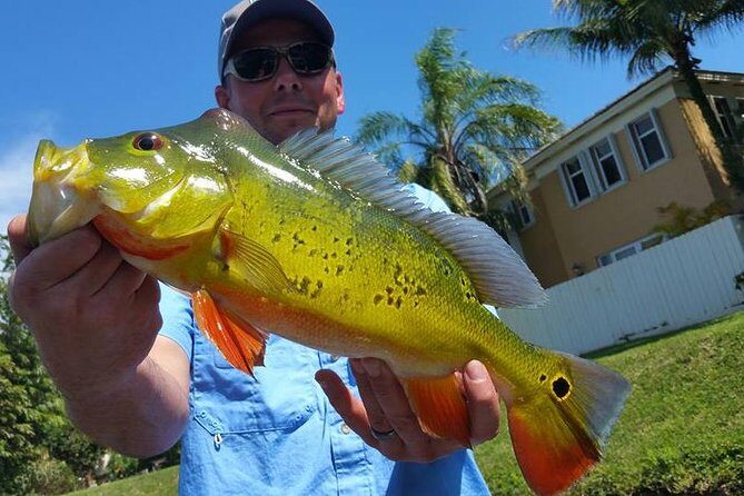 Peacock Bass Fishing Trip near Palm Beach - The Guide: Knowledgeable and Attentive