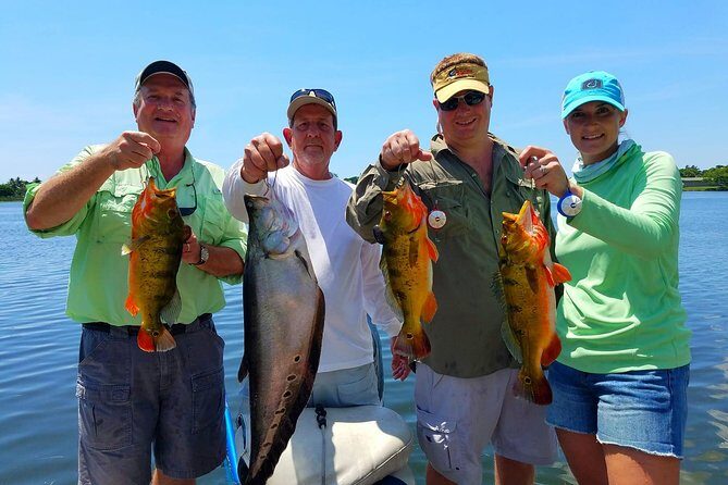Peacock Bass Fishing Trips near Boca Raton - A Practical Look at Peacock Bass Fishing Near Boca Raton
