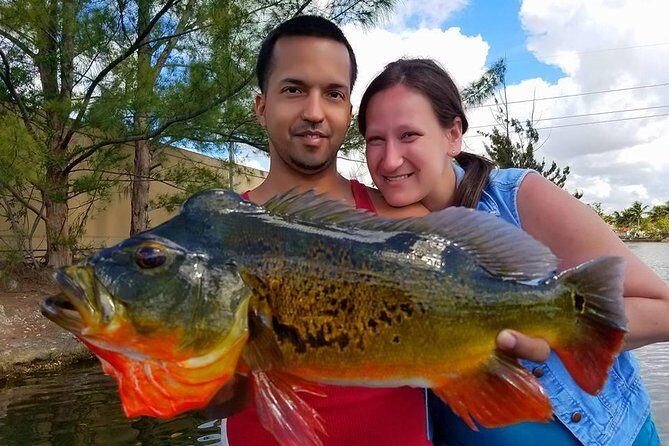 Peacock Bass Fishing Trips Near Miami Florida - The Value of This Peackock Bass Fishing Tour