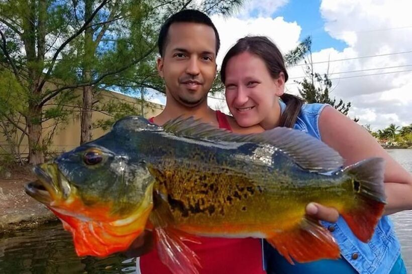 Peacock Bass Fishing Trips Near Miami Florida - Transportation and Accessibility