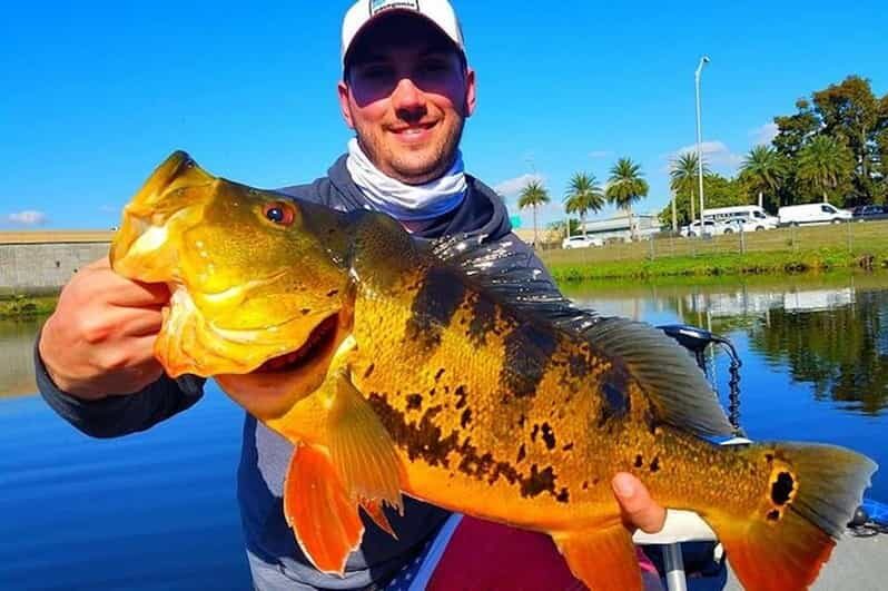 Peacock Bass Fishing Trips Near Miami Florida - Practical Tips for Booking