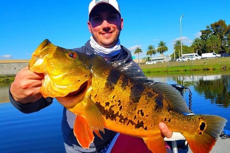 Peacock Bass Fishing Trips Near Miami Florida - Final Thoughts