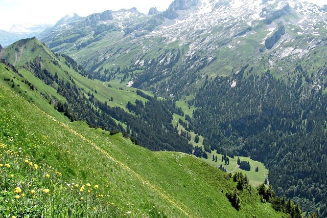 Peak to Peak Private Hiking Tour From Lucerne - Meeting Point and Pickup Information
