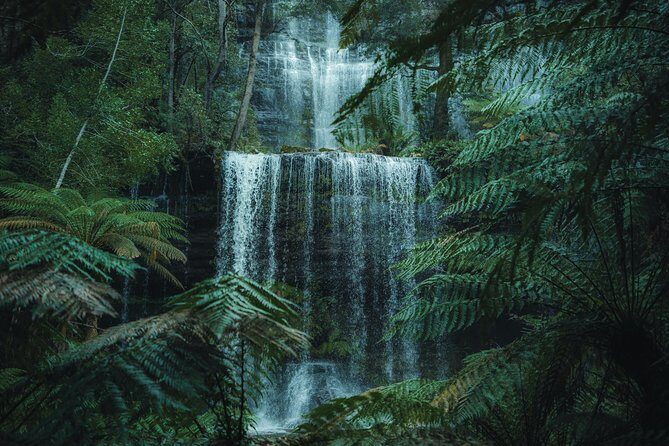 Peaks, Falls & Furry Locals: Mt. Field & the Derwent - Key Points