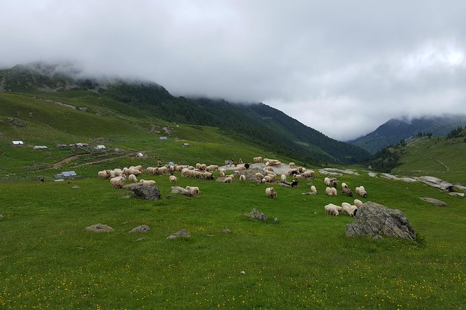 Peaks of the Balkans - 8 Days Tour - The Value and Overall Experience