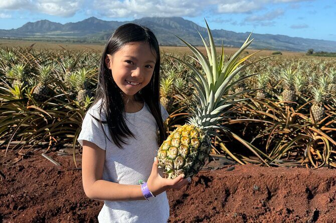 Pearl Harbor and Circle Island Tour - FAQ