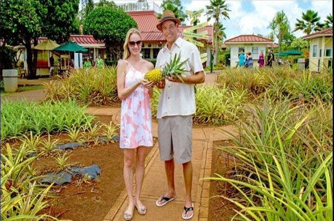 Pearl Harbor and Mini Circle Island from Kauai - The Value and Practicalities