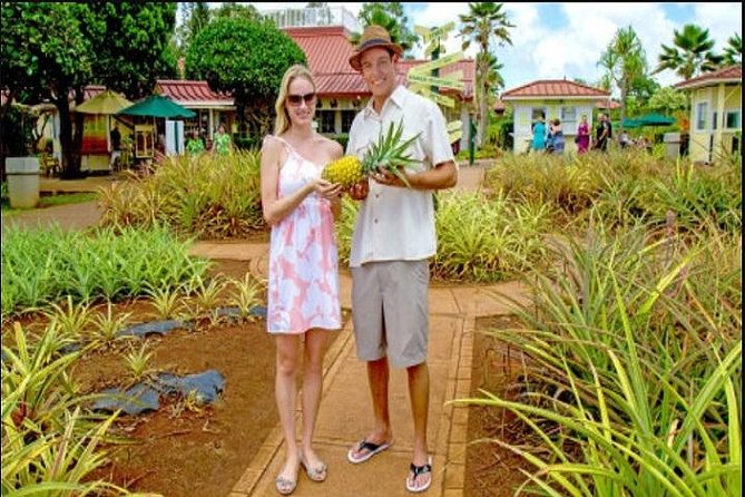 Pearl Harbor, Dole Plantation, Polynesian Center From Waikiki - Discovering Dole Plantation
